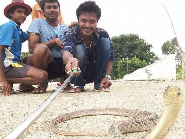 ಹಾವಿನ ಜೊತೆ ಸರಸವಾಡಿದ ಸ್ಯಾಂಡಲ್ವುಡ್ ನಾಯಕ ಯಾರು? | Olave Mandara hero Sriki ...