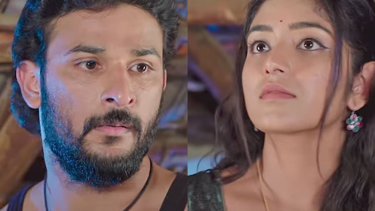 Neenadhe Naa: ಕೊನೆಗೂ ವಿಕ್ರಂ ಜತೆ ಸೇರಿದ ವೇದಾ; ಲಕ್ಕಿ ತಂತ್ರದಿಂದ ವಿಕ್ರಂ ...